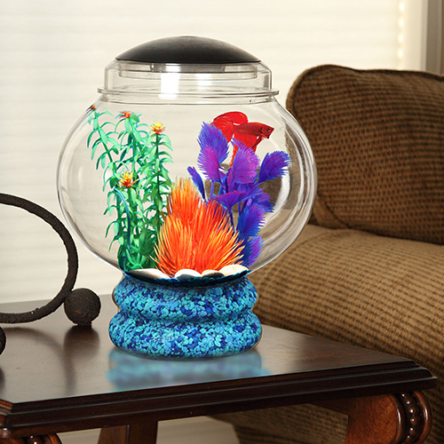 1.6 Gallon Tall Pedestal Fish Bowl with LED Lighting | Sunnyway Products