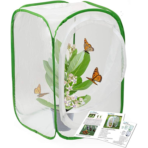 Butterfly Cage – Rectangle Green | Sunnyway Products